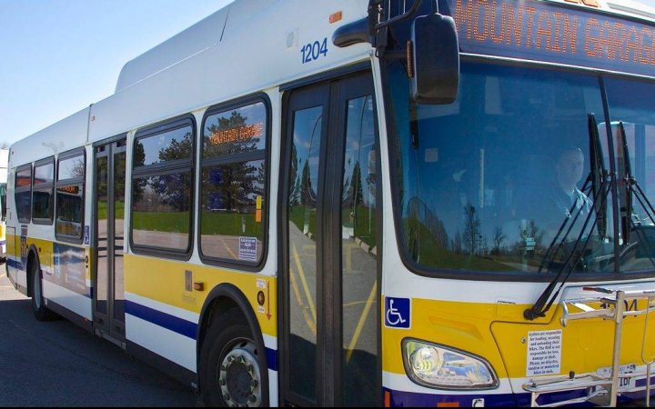 Hamilton’s labour council seeks expansion of free and subsidized ...