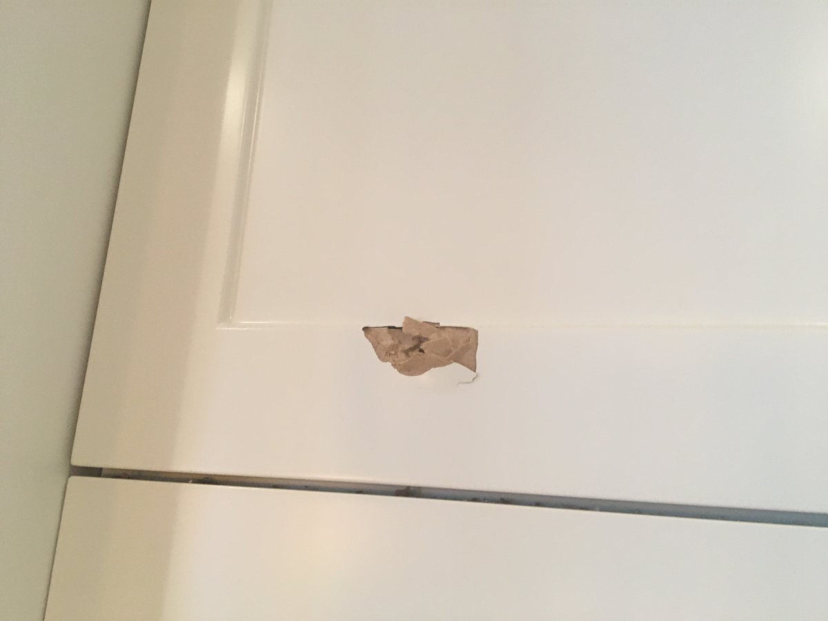 Calgary woman finds bullet hole in kitchen cupboard, police ...