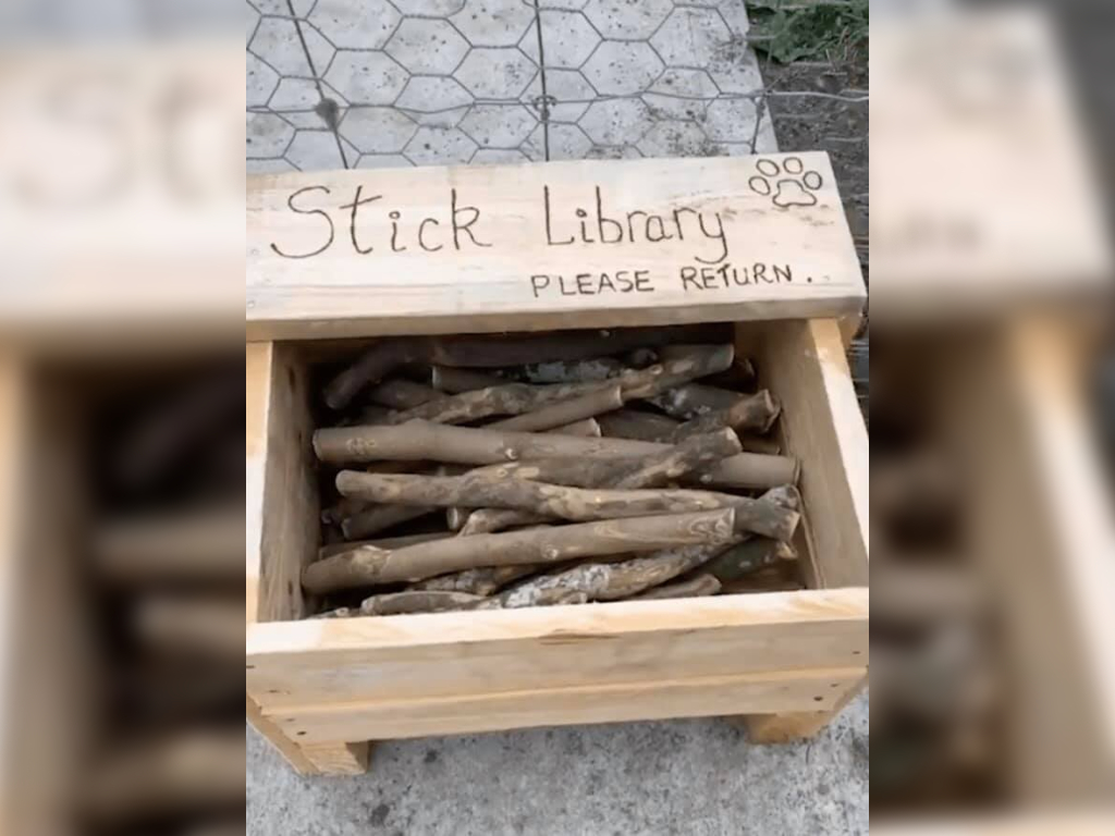 Man builds very fetching ‘stick library’ for local dogs in New Zealand ...