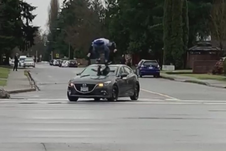 jump on car | News, Videos & Articles