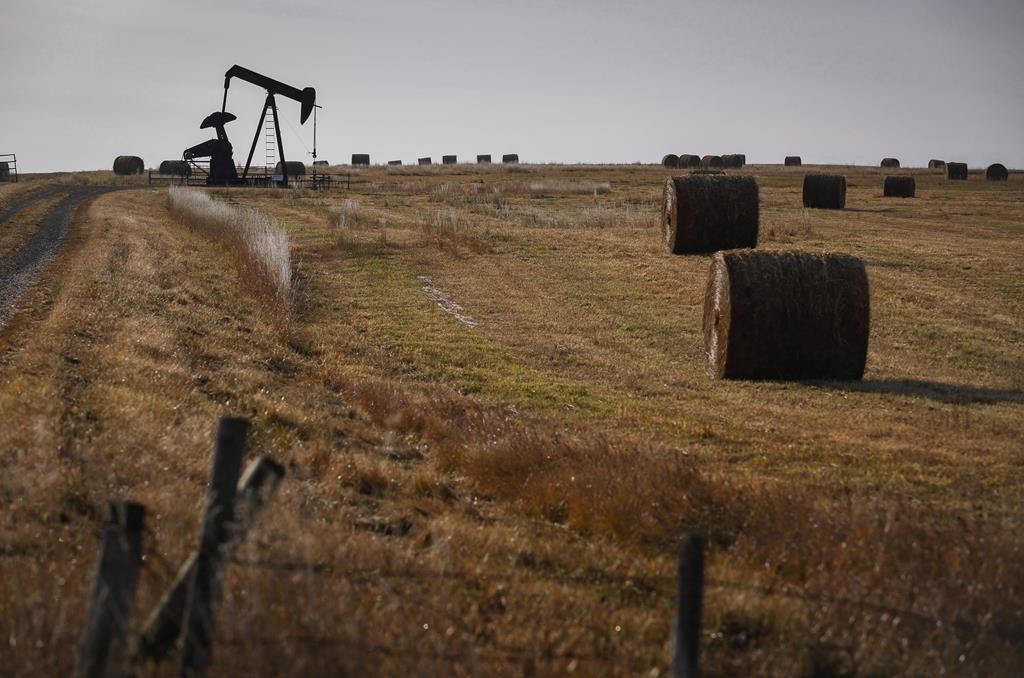 Alberta announces funding for economic growth in rural municipalities ...
