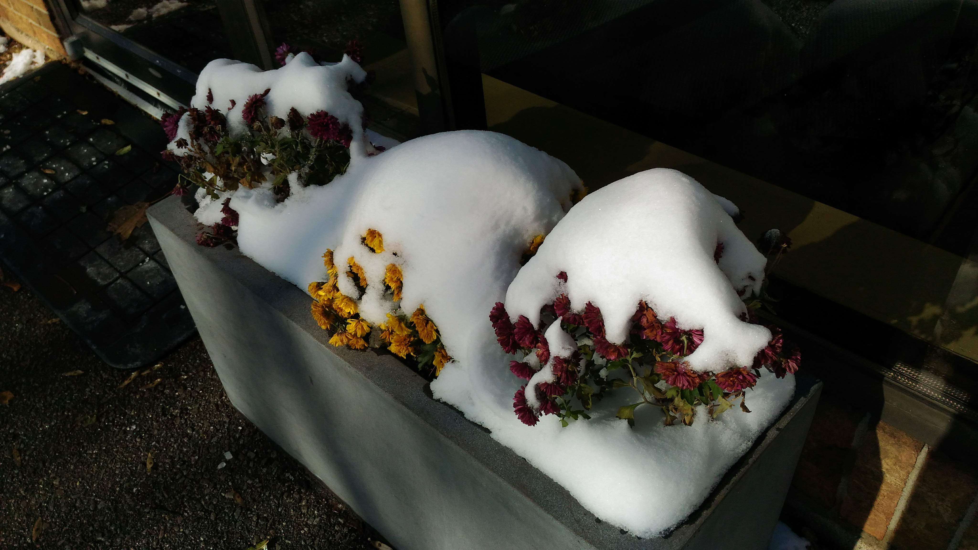 Hamilton area to be hit by heavy rain on Saturday: Environment Canada ...