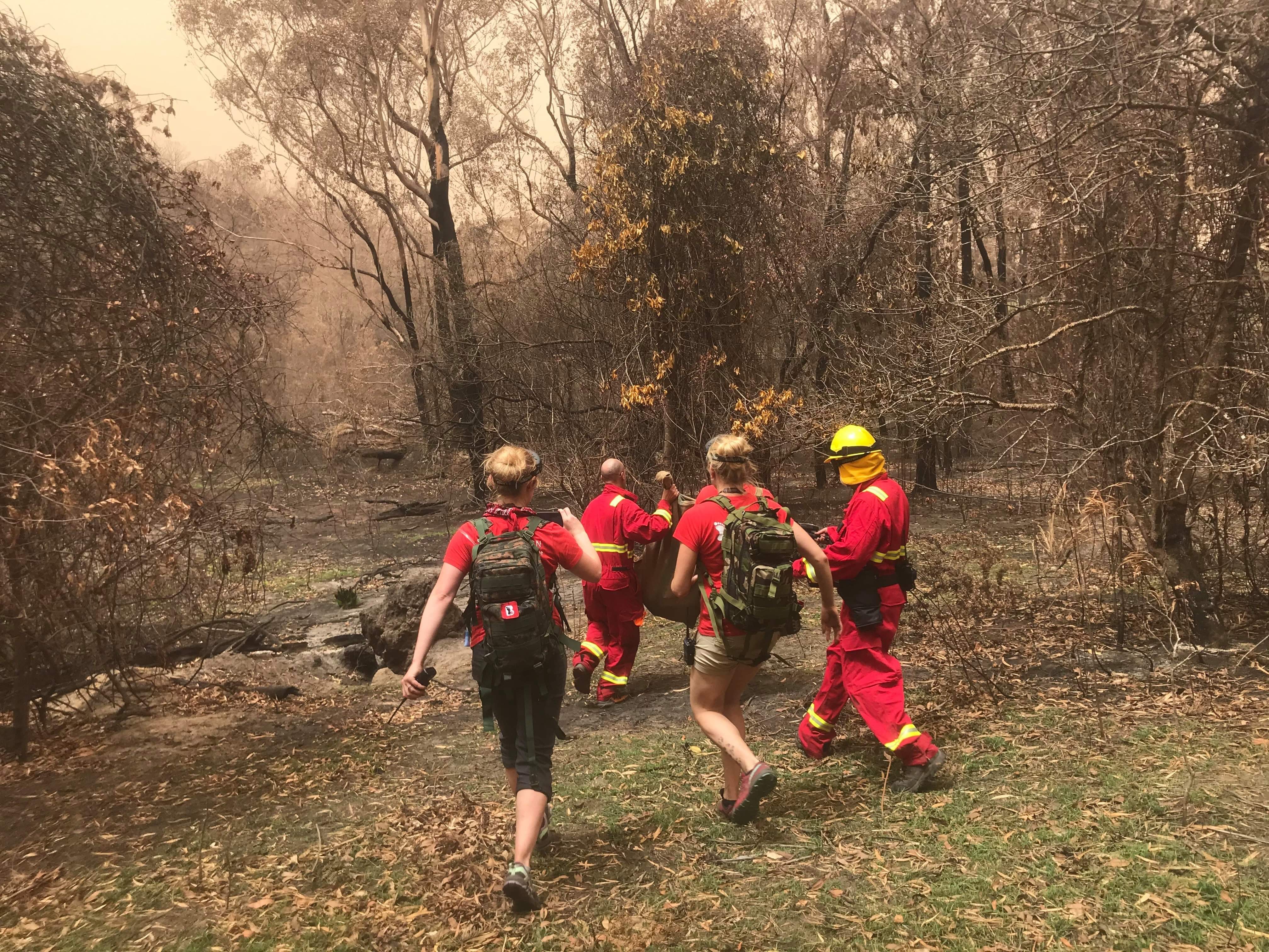 Okanagan volunteer team continues to save animals as Australia’s ...