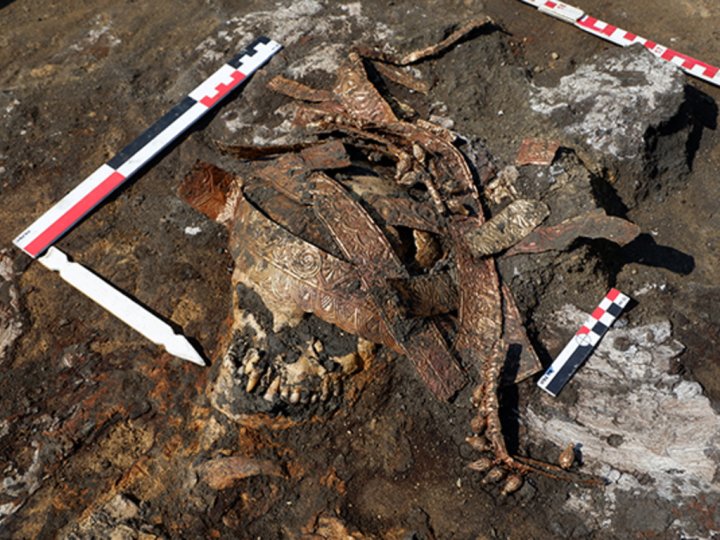 russia archaeology | News, Videos & Articles