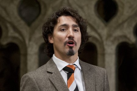 Statesman, ‘daddy’ or dud: Justin Trudeau’s new beard ignites social ...