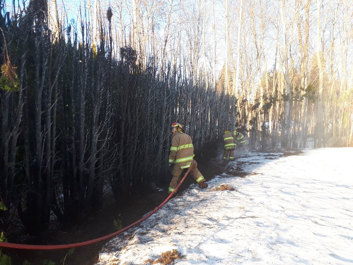 Hedge fire deemed suspicious by Salmon Arm fire department - Okanagan ...