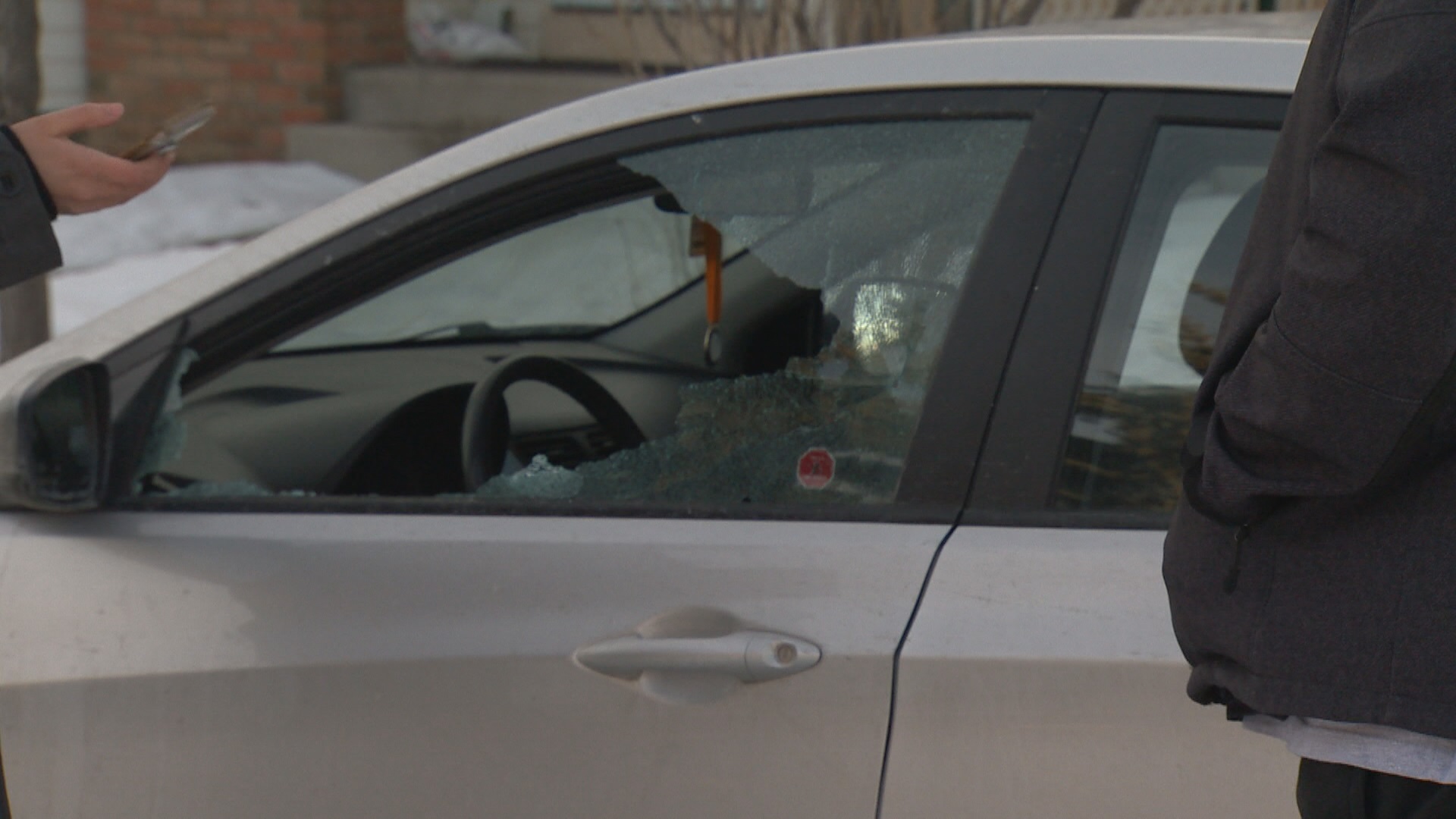 Calgary police search for vandals after window-smashing spree - Calgary ...