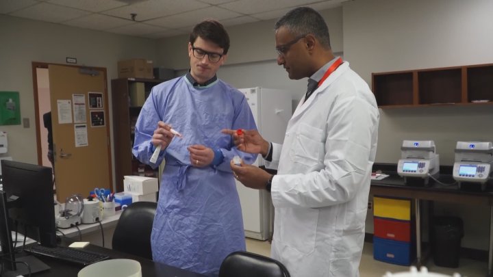 Health Link, assessment centres, provincial labs: A look at how Alberta ...