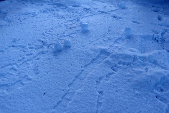 Alberta elements just right to create natural ‘snowballs’ | Globalnews.ca