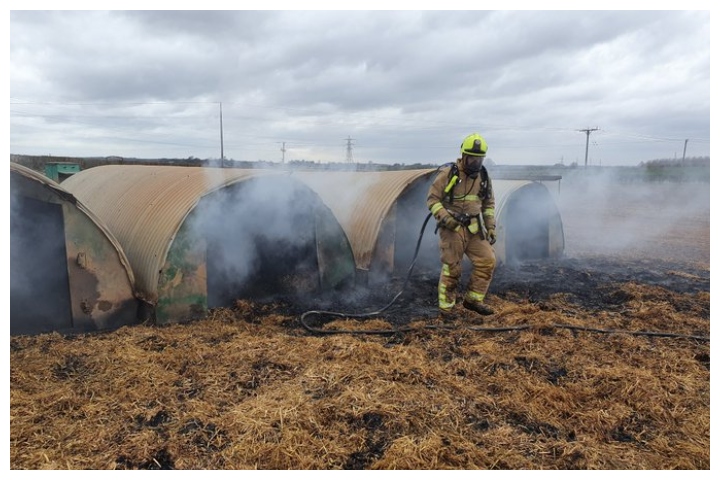 ‘Save the bacon’: Pig pooped out pedometer to start farm fire ...