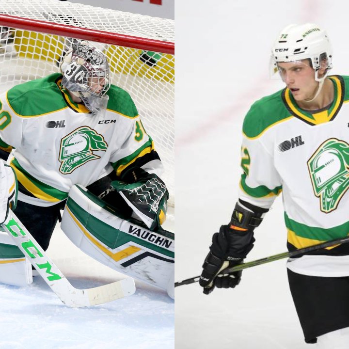 Brett Brochu, Alec Regula earn monthly Ontario Hockey League honours ...