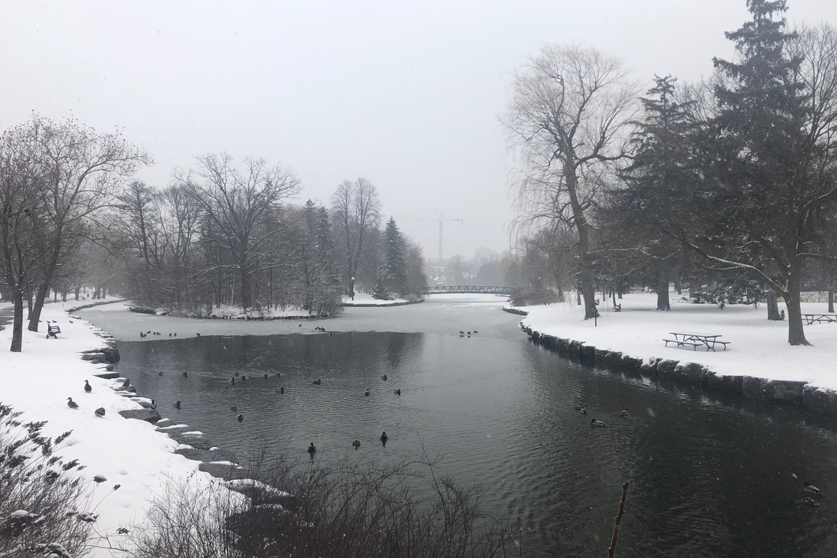 If you thought you were shovelling a lot last month in Waterloo, you ...
