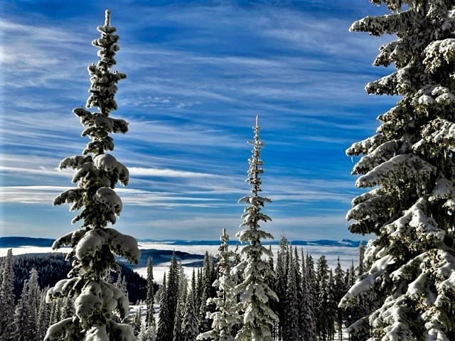 SilverStar Mountain Resort heads into extended week with 15 cm snow day ...