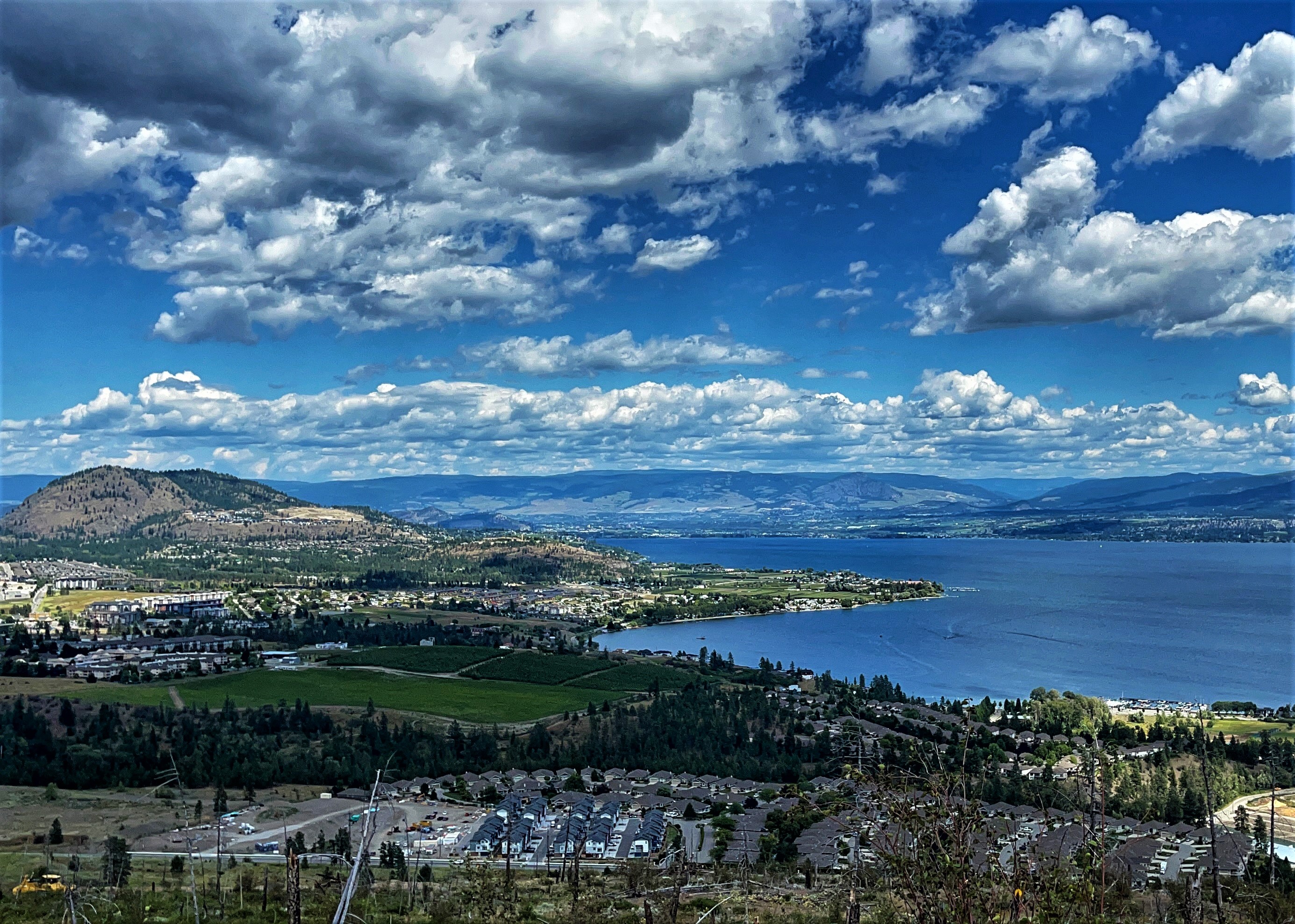 West Kelowna mayoral candidates look to a brighter future - Okanagan ...