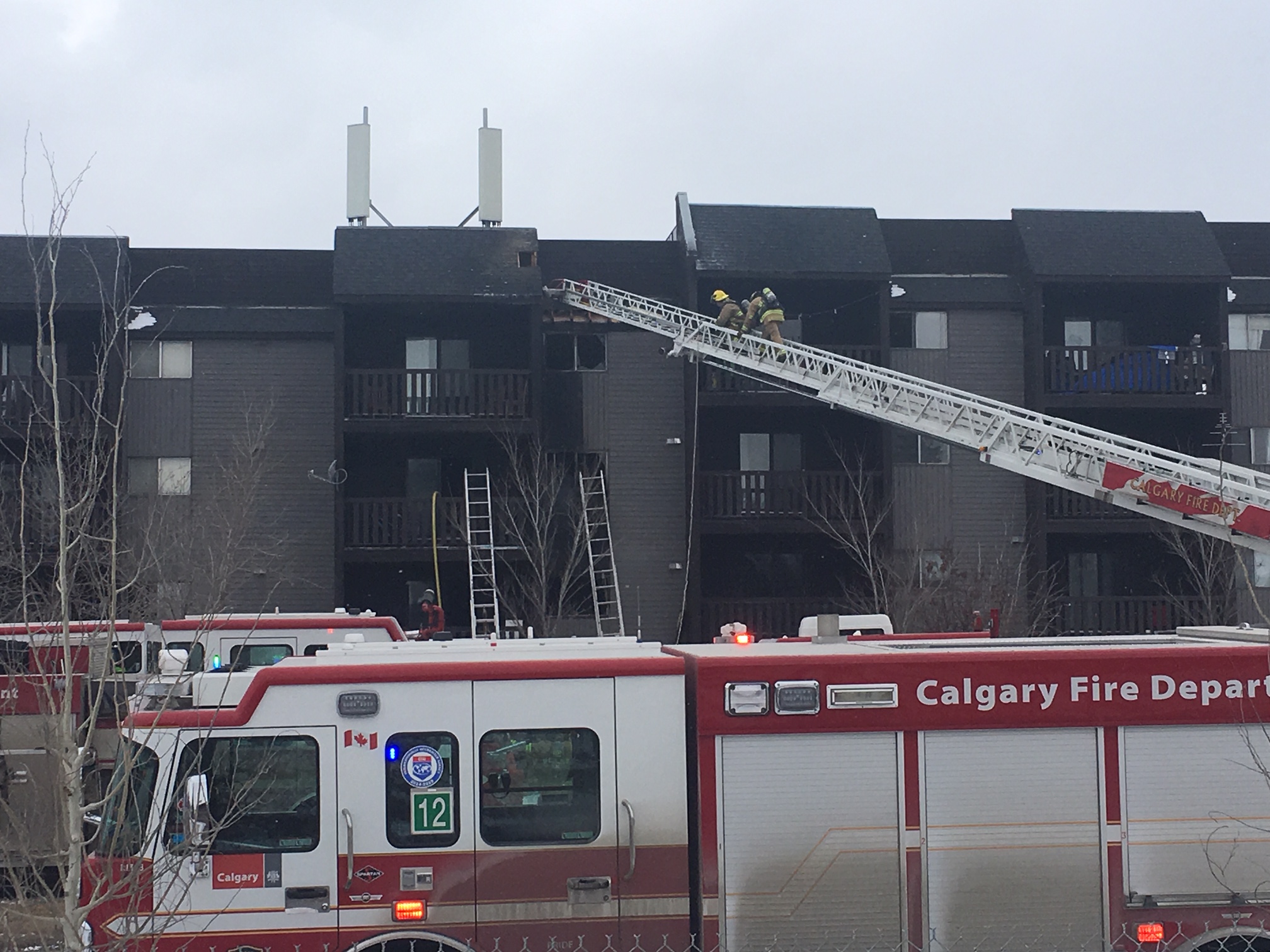 Roughly 200 residents evacuated from Calgary apartment building due to ...