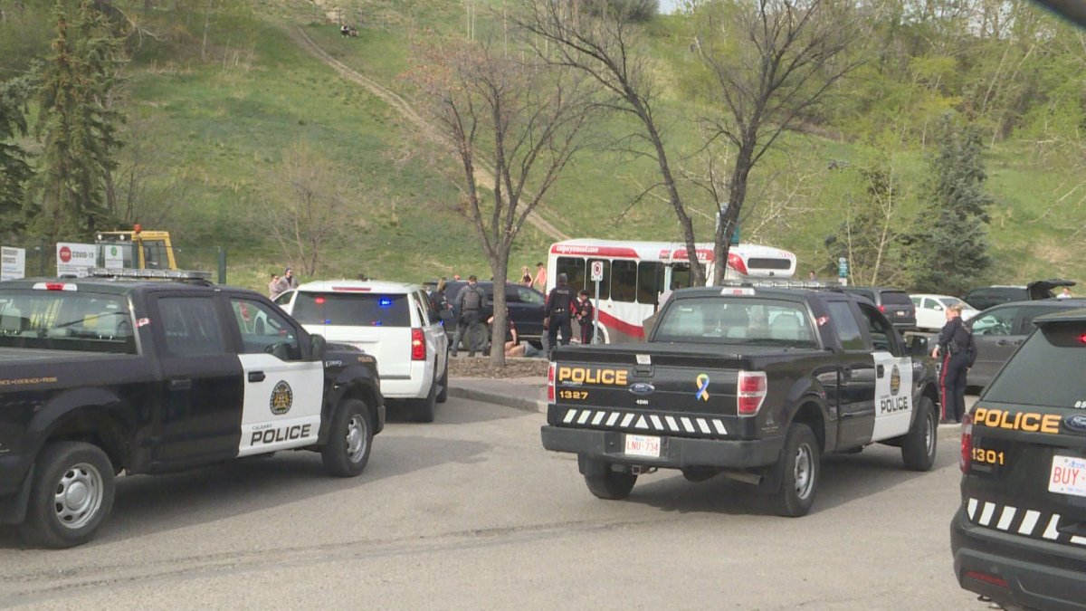 Man in custody after he stole Calgary Transit bus, hit multiple ...