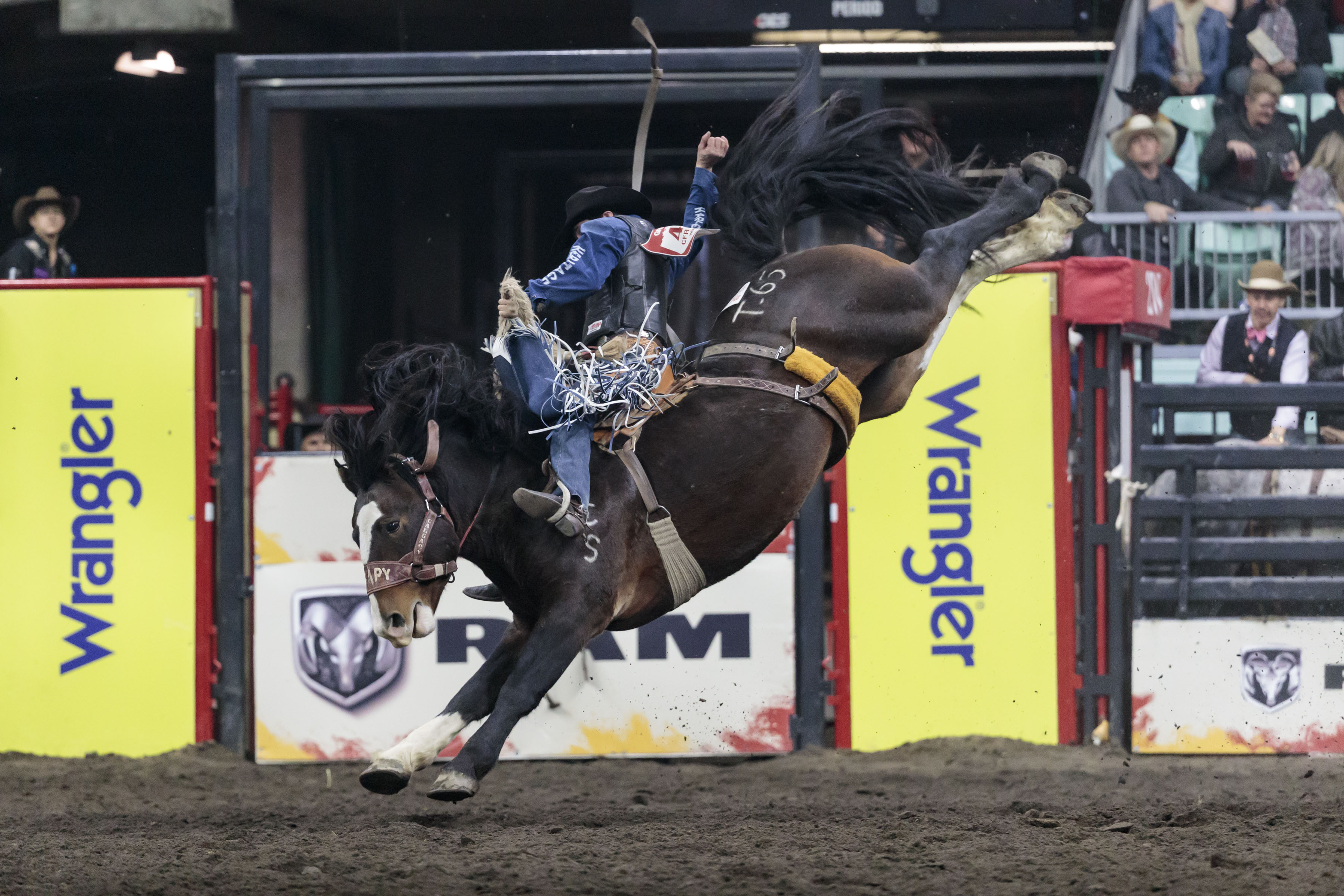 Entire rodeo season, including Canadian Finals Rodeo, in question due ...