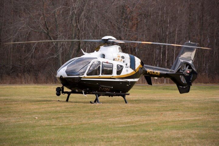 Human remains found after man goes missing in Meaford, Ont., 1 arrested ...