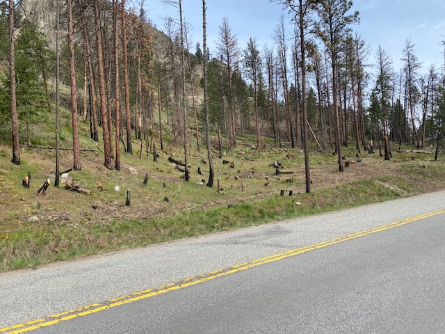 Fire hazard near Trader’s Cove neighbourhood cleaned up; area residents ...