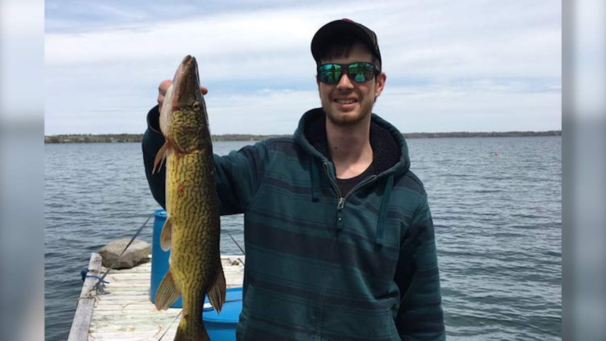 New invasive Pickerel caught off Wolfe Island in Kingston - Kingston ...