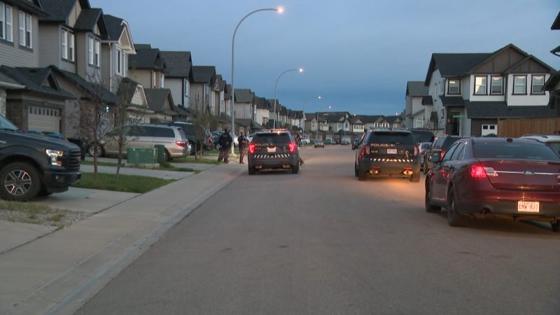 Calgary police investigate Friday morning shooting in Skyview Ranch ...