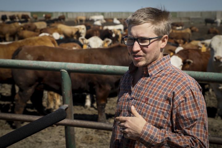 Canadian ranchers and feedlots worried about future impact of COVID-19 ...