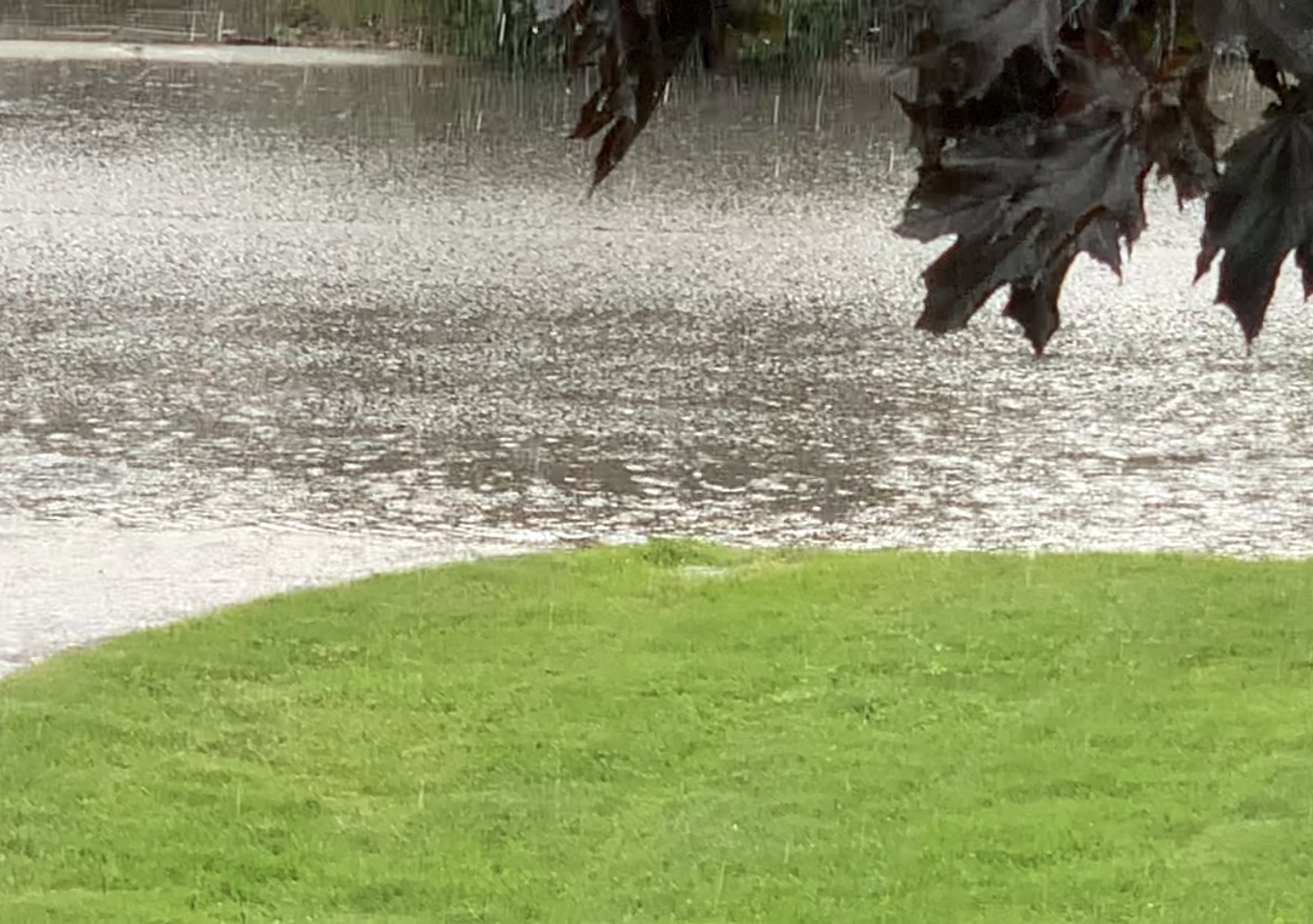 Environment Canada releases Alberta rain and snowfall amounts for ...