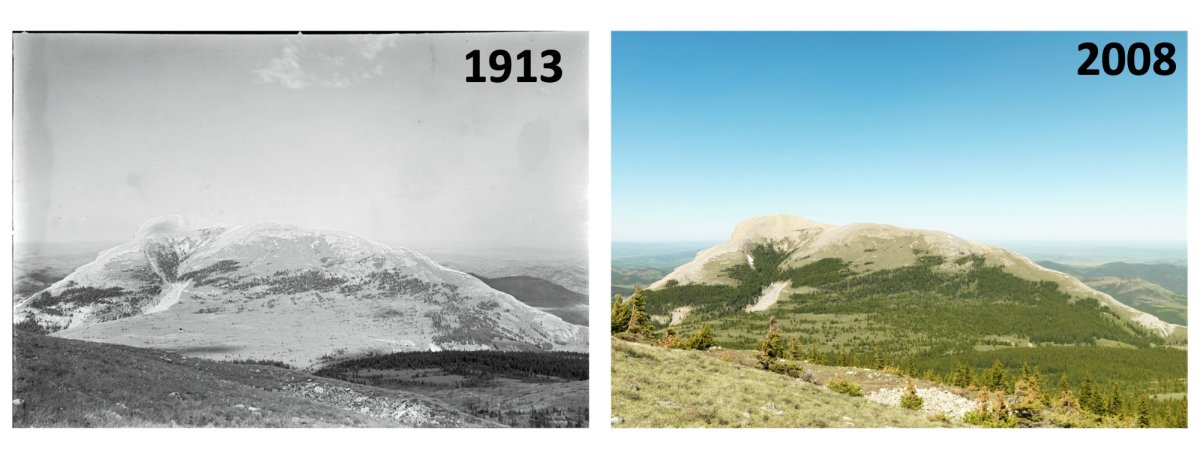 Waterloo study uses historic photos to examine ecosystem change in ...