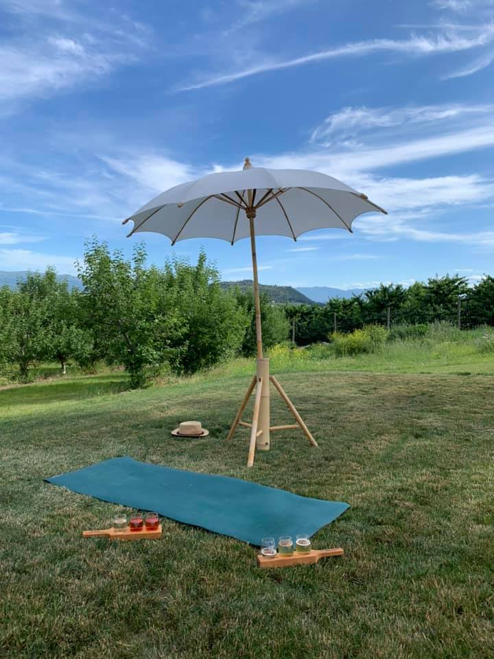 Scenic Road Cider Event Yoga, A Flight of Cider & Cheese Pairing ...