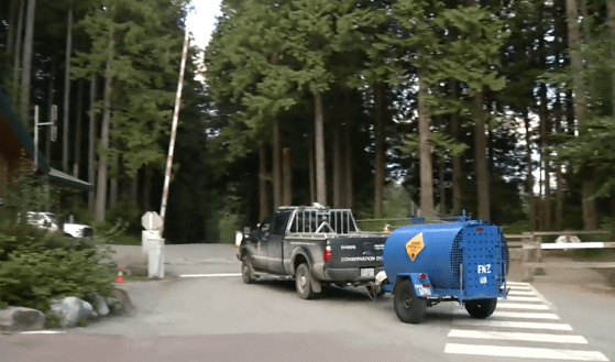 10-year-old girl bear bite | News, Videos & Articles