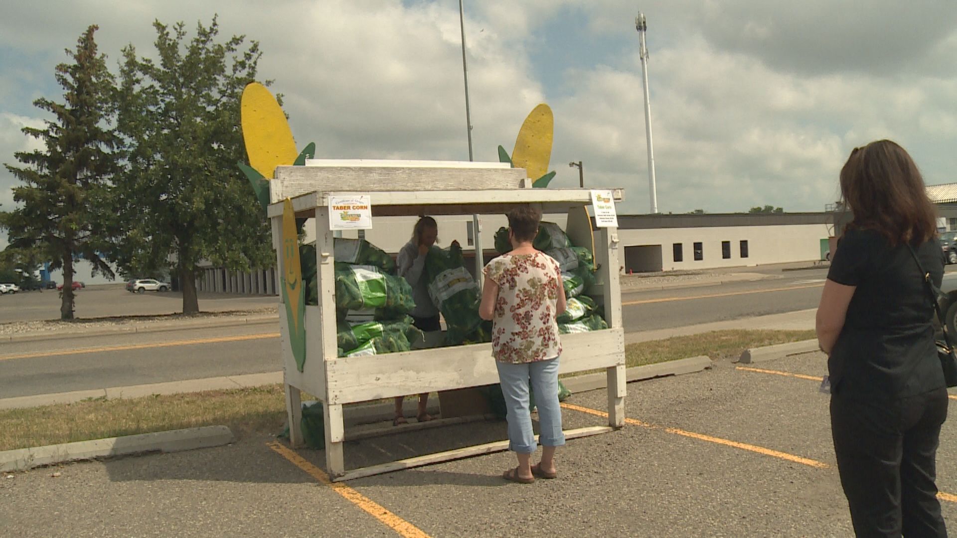 Customers all ears for start of Taber corn season - Lethbridge ...