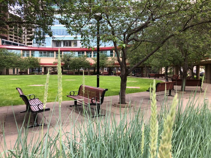 Downtown Calgary park renamed to honour Chinese Canadian community ...