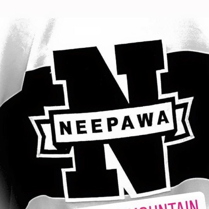 MJHL’s Neepawa Natives to change team name - Winnipeg | Globalnews.ca