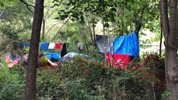 Spike in Hamilton homeless encampments a ‘difficult challenge,’ says ...