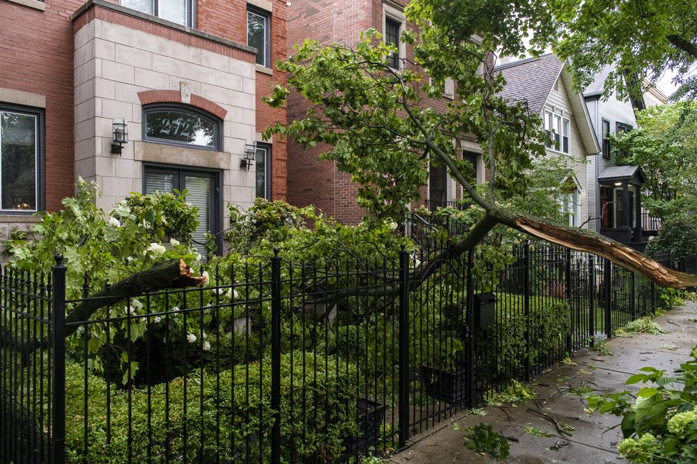 Powerful wind storm downs trees, flips cars across U.S. Midwest ...