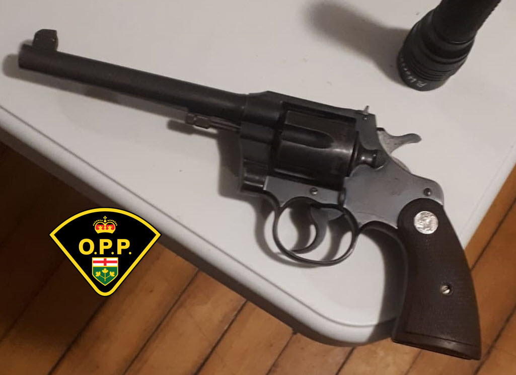 Lennox and Addington OPP seize 4,000 illegal cannabis plants in 3rd ...