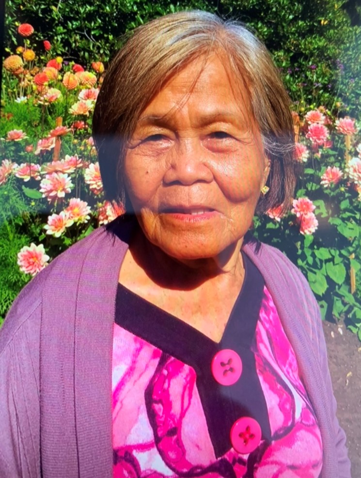 Missing elderly woman with dementia found safe in Vancouver - BC ...