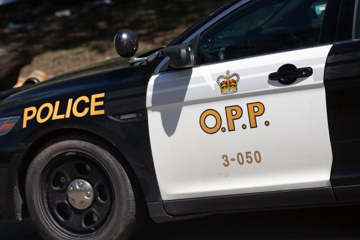 London man dies in crash west of city: OPP - London | Globalnews.ca