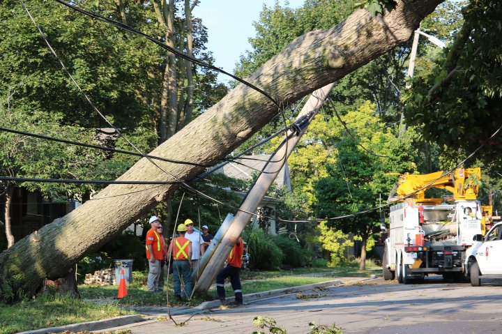 Severe storm hits London region, causes tree damage - London ...