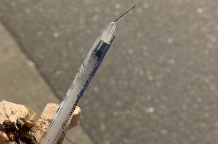 Man pricked by uncapped needle in Victoria’s Beacon Hill Park: police ...
