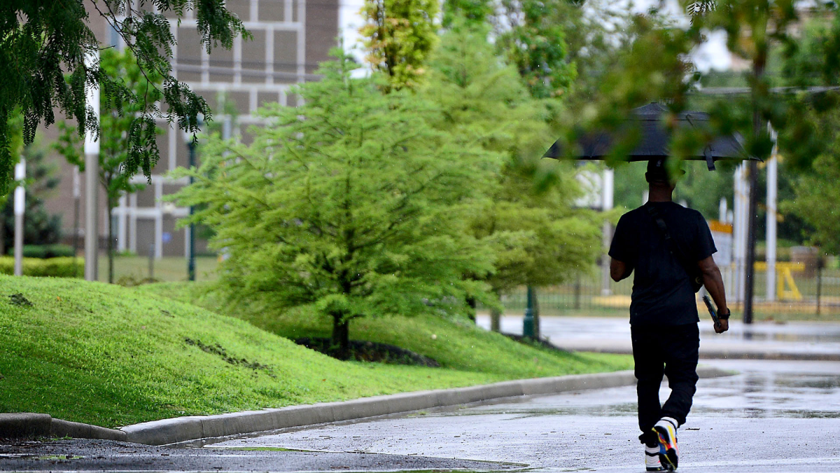Thunderstorms, heavy rain possible for Hamilton area - Hamilton ...