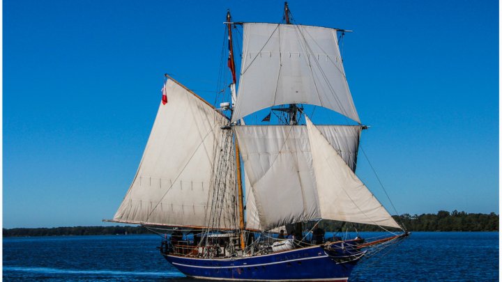 brigs youth sail training | News, Videos & Articles