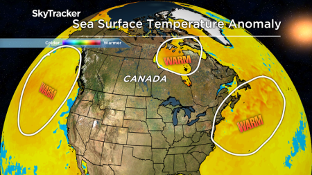2020 fall forecast: What weather Canadians can expect from coast to ...