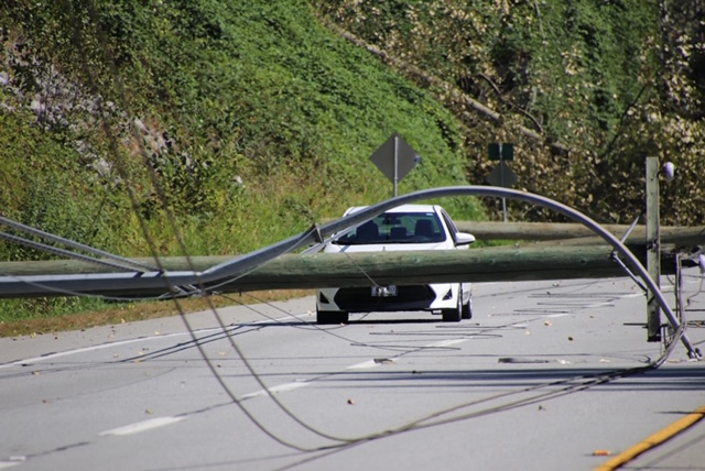 High winds: Downed trees, power lines force closure of Lougheed Highway ...