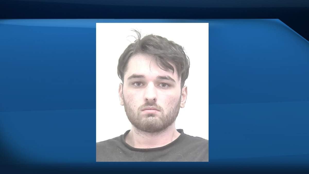 Calgary police look for person of interest in Sandstone Valley double ...