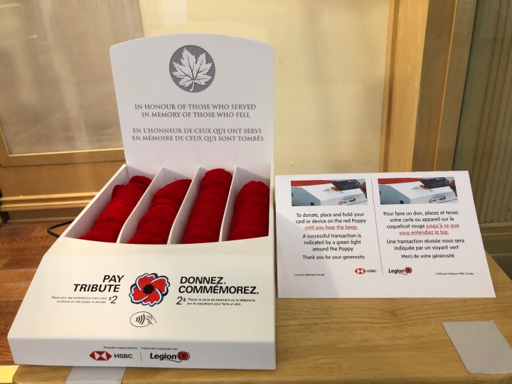 Futuristic fundraising for a pandemic poppy campaign - National ...