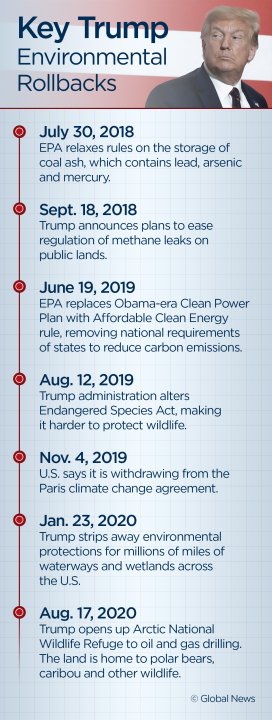 What happened to the environment with 3.5 years of Trump in office ...