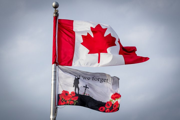 Bill Kelly: A different Remembrance Day - Hamilton | Globalnews.ca