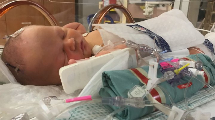 Baby Death | News, Videos & Articles