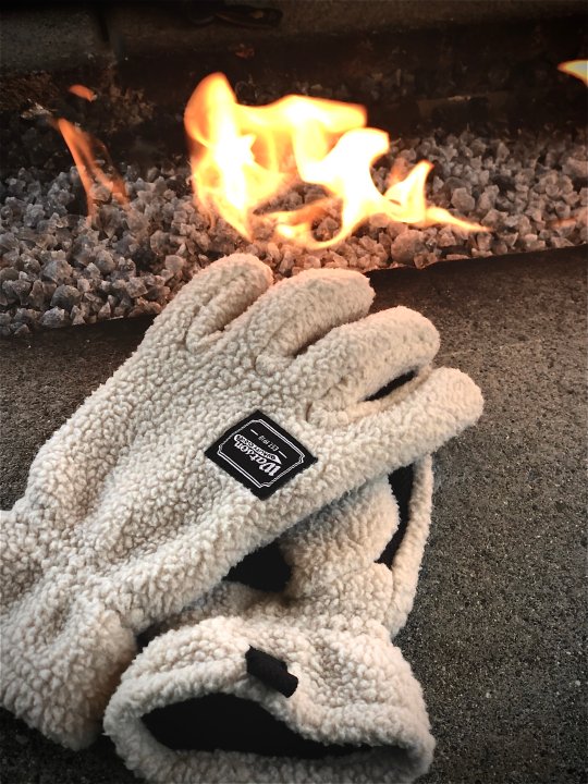 ‘Start of a new era’: How one company started their sustainability ...